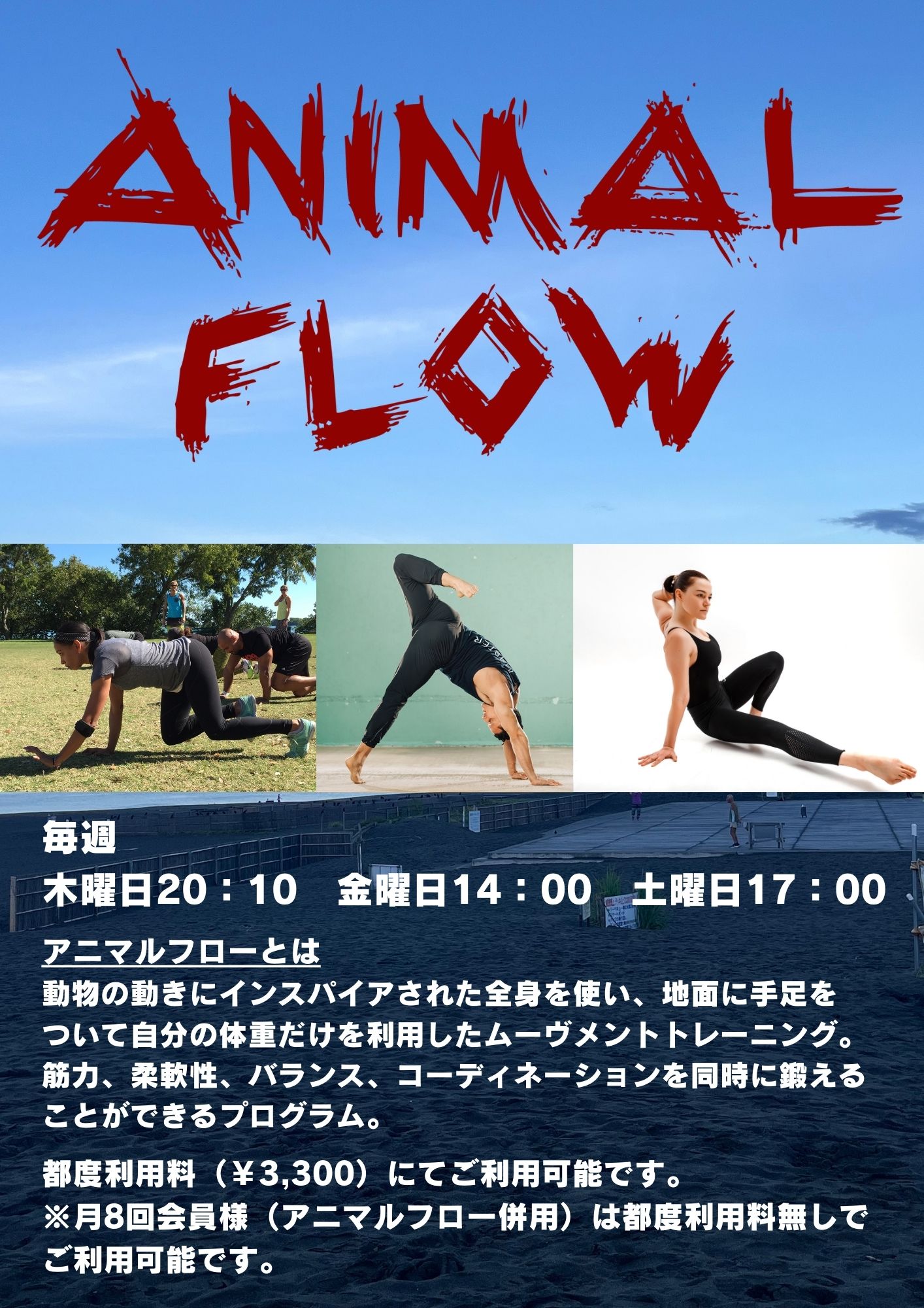 新プログラム「ANIMAL FLOW（アニマルフロー）」 - 134 MOVERGYM